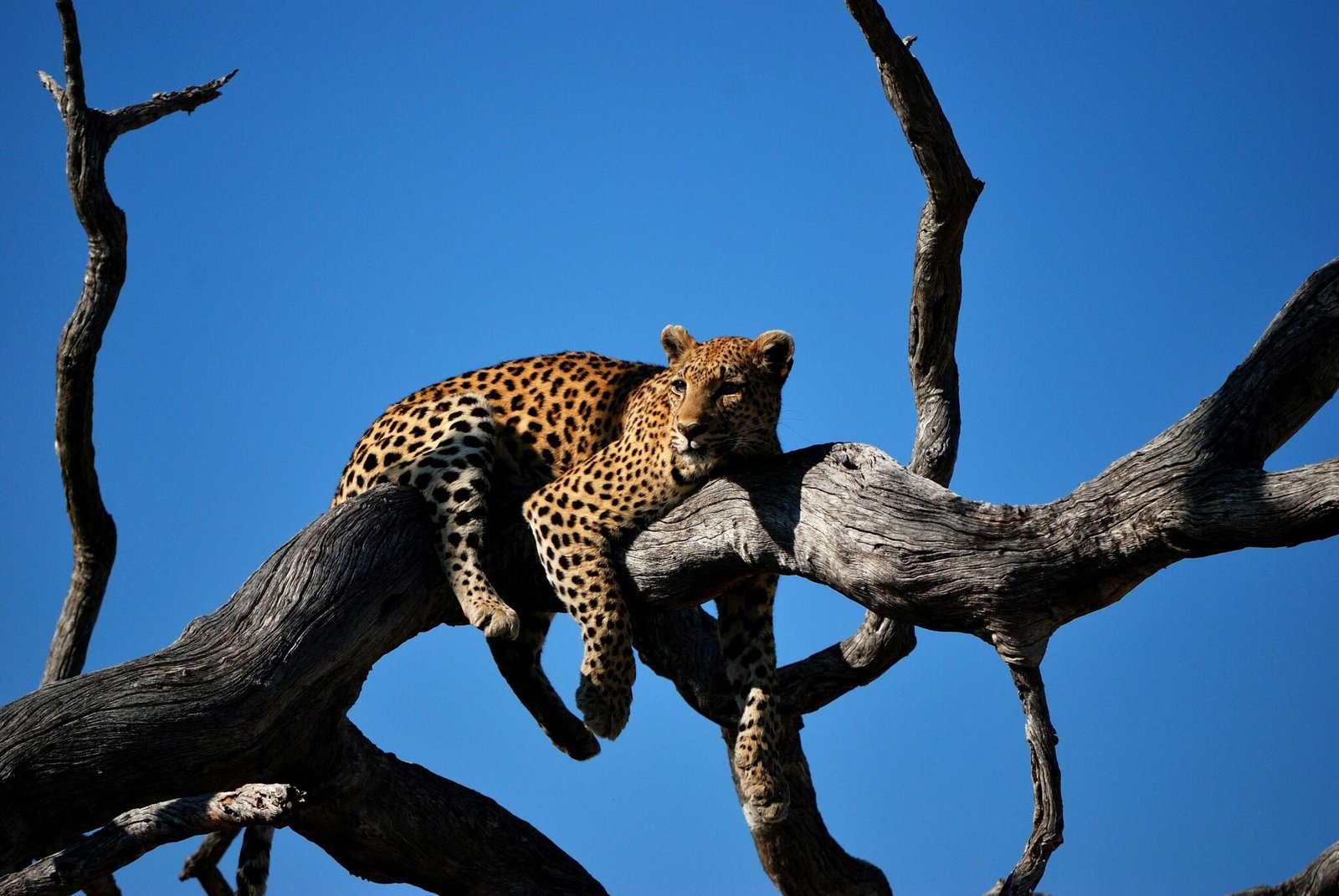 Gaborone attractions - Gaborone Botswana Information